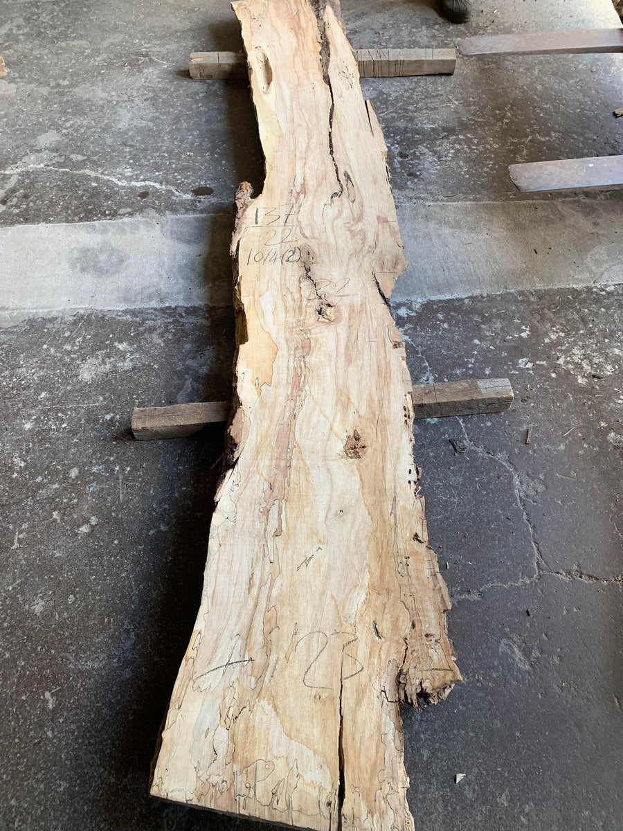 Spalted Maple 137x22x10/4 – The Knotty Lumber Co.