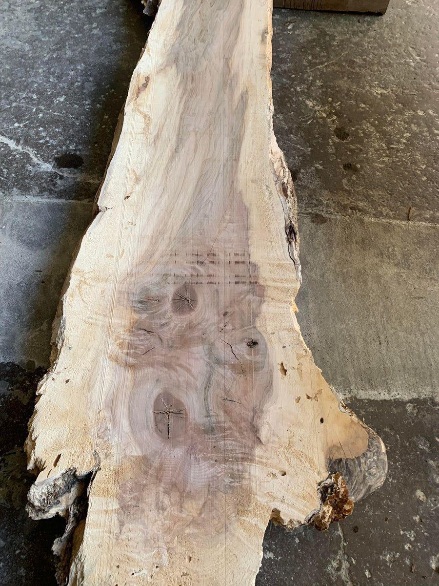 Spalted Maple 102x24x10/4 – The Knotty Lumber Co.
